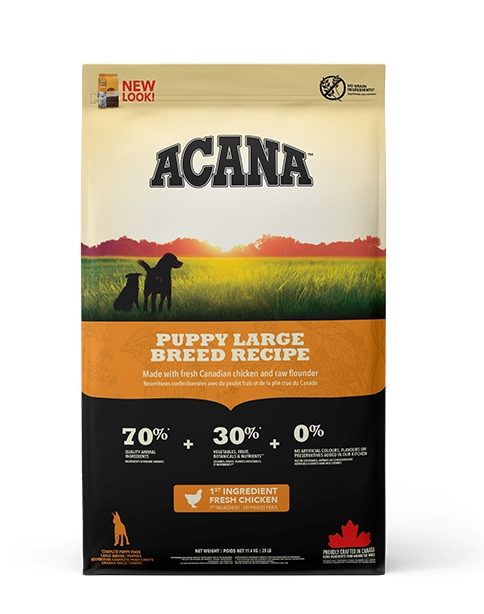 CHOOSING THE BEST PUPPY FOOD & NUTRIENTS FOR YOUR PUPPY